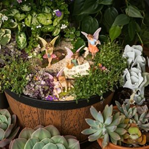 PRETMANNS Fairy Garden Accessories - Fairy Garden Fairies - Fairies for Fairy Garden Outdoor - Garden Fairy Figurines with Animal Friends - Miniature Fairies Garden Kit - 5 Fairy Items