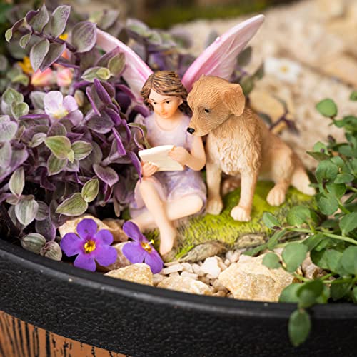 PRETMANNS Fairy Garden Accessories - Fairy Garden Fairies - Fairies for Fairy Garden Outdoor - Garden Fairy Figurines with Animal Friends - Miniature Fairies Garden Kit - 5 Fairy Items