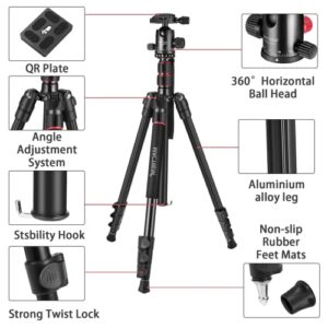 MACTREM 80" Camera Tripod, DSLR Tripod Heavy Duty for Travel, 360 ° Ball Head Professional Aluminum Tripod & Monopod with Carry Bag Compatible with Canon Nikon Sony Camcorder Phone, 33lb Load