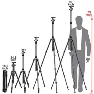 MACTREM 80" Camera Tripod, DSLR Tripod Heavy Duty for Travel, 360 ° Ball Head Professional Aluminum Tripod & Monopod with Carry Bag Compatible with Canon Nikon Sony Camcorder Phone, 33lb Load