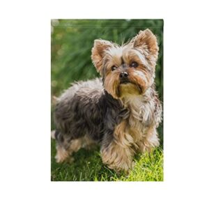 hokkien little yorkshire terrier dog garden flag double sided 12 x 18 inch, yard flags, decorative small garden flags, outdoor lawn and garden décor