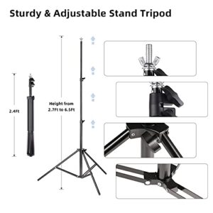 Backdrop Stand 6.5x10ft Adjustable Photo Backdrop Stand kit for Parties Wedding Photography with Carry Bag