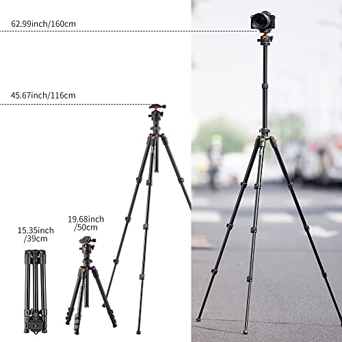 K&F Concept 64 inch/163cm Camera Tripod,Lightweight Aluminum Travel Outdoor Tripods with 360 Degree Ball Head Load Capacity 8kg/17.6lbs,Quick Release Plate, for DSLR Cameras K234A0+BH-28L