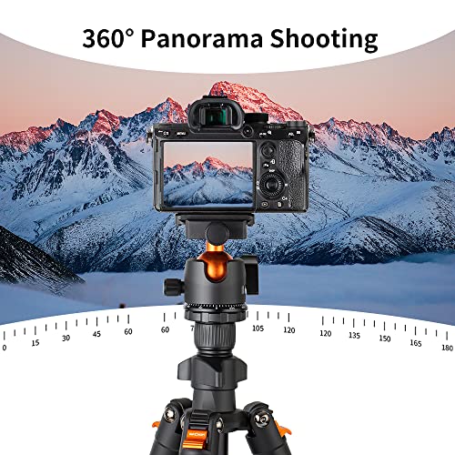 K&F Concept 64 inch/163cm Camera Tripod,Lightweight Aluminum Travel Outdoor Tripods with 360 Degree Ball Head Load Capacity 8kg/17.6lbs,Quick Release Plate, for DSLR Cameras K234A0+BH-28L