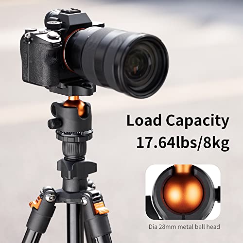 K&F Concept 64 inch/163cm Camera Tripod,Lightweight Aluminum Travel Outdoor Tripods with 360 Degree Ball Head Load Capacity 8kg/17.6lbs,Quick Release Plate, for DSLR Cameras K234A0+BH-28L