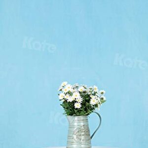 Kate 6ft×9ft Solid Light Blue Backdrop Portrait Photography Background for Photography Studio Children and Headshots Sky Blue Backdrop Background for Photography Photo Booth