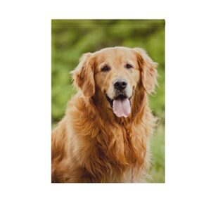 hokkien smiling golden retriever dog garden flag double sided 12 x 18 inch, yard flags, decorative small garden flags, outdoor lawn and garden décor