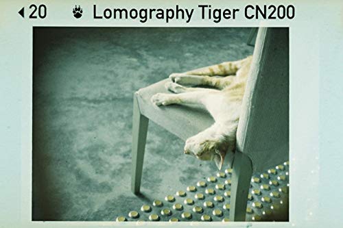 Lomography Color Tiger 110 3 Pack