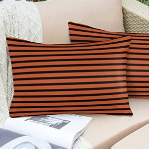 Halloween Pillow Covers Simple Stripe Halloween Lumbar Throw Pillow Cover for Patio Furniture Geometric Pattern Outdoor Waterproof Pillowcases Set of 2 Cushion Case for Sofa Couch Chair 20x12in