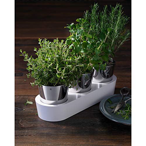 WMF Gourmet herb Garden Set, 3-Piece