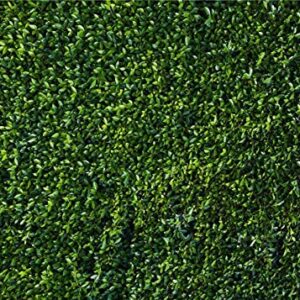 Spring Nature Green Leaves Photography Backdrops Newborn Baby Shower Backdrop Wedding Birthday Party Decoration Photo Studio Props Supplies 7x5ft Polyester