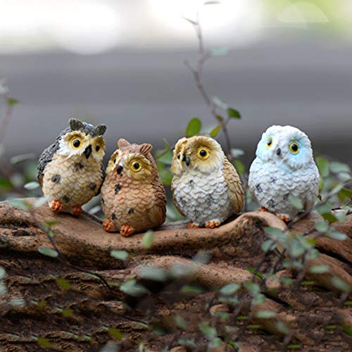 MAOMIA Miniature Owl Decorative Figurines 8 Pcs Mini Owl Garden Fairy Garden Figurines Moss Landscape Bonsai Crafts Home Decor Ornaments