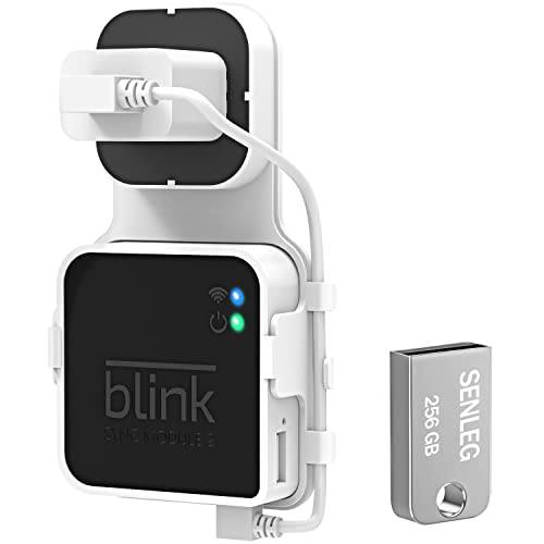 256GB Blink USB Flash Drive and Blink Sync Module 2 Mount, No-Drilling Easy Move Mount Bracket for Blink Outdoor Indoor Security System, with Short Cable (Blink Sync Module 2 is NOT Included)