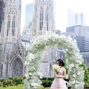 Wedding Arch Backdrop Stand,Gold Metal Door Arched Backdrop Frame Arches Backdrop Stand for Wedding Birthday Graduation Anniversary Celebration Opening Ceremony (6.6x3.3FT)