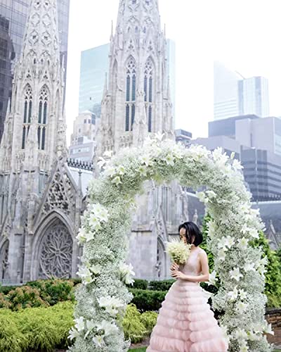 Wedding Arch Backdrop Stand,Gold Metal Door Arched Backdrop Frame Arches Backdrop Stand for Wedding Birthday Graduation Anniversary Celebration Opening Ceremony (6.6x3.3FT)