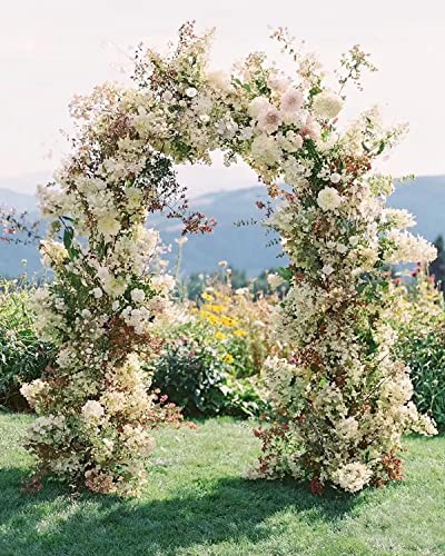 Wedding Arch Backdrop Stand,Gold Metal Door Arched Backdrop Frame Arches Backdrop Stand for Wedding Birthday Graduation Anniversary Celebration Opening Ceremony (6.6x3.3FT)