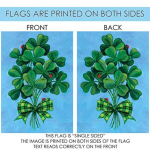 Toland Home Garden 102589 Shamrock Bouquet St Patricks Day Flag 28x40 Inch Double Sided St Patricks Day Garden Flag for Outdoor House St Pats Flag Yard Decoration