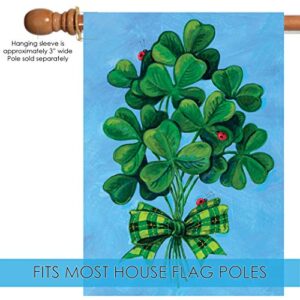 Toland Home Garden 102589 Shamrock Bouquet St Patricks Day Flag 28x40 Inch Double Sided St Patricks Day Garden Flag for Outdoor House St Pats Flag Yard Decoration