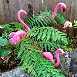 GiftExpress Large Bright Pink Flamingo Yard Ornament/Flamingo Garden Statue/Pink Flamingo Garden Yard Decor (Pack of 2)