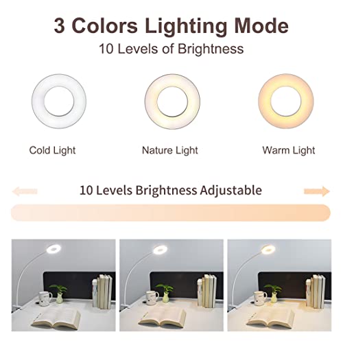 Bekada LED Desk Light with Clamp for Video Conference, USB Reading Light Laptop Light for Computer Webcam, Clip on LED Ring Light for Zoom Meetings , 3 Colors and 10 Dimming Level (White)