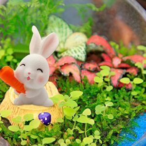 39 Pcs Miniature Fairy Garden Kit for Kids Mini Animal Miniatures Rabbit Mushroom Fairy House Garden Accessories,Micro Landscape Ornaments DIY Kit Environmental Resin Miniatures Terrarium Decor