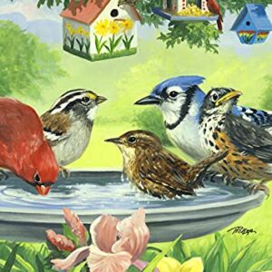 Toland Home Garden 119474 Bathing Birds Spring Flag 12x18 Inch Double Sided Spring Garden Flag for Outdoor House Flag Yard Decoration