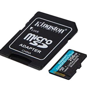 Kingston 256GB microSDXC Canvas Go Plus 170MB/s Read UHS-I, C10, U3, V30, A2/A1 Memory Card + Adapter (SDCG3/256GB)