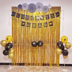 Gold Tinsel Backdrop Party Decorations, Melsan 3.2 x 8 ft Foil Fringe Curtains Party Backdrop for Birthday Party, Anniversary, Graduation, New Year Eve Backdrop Decorations, Pack of 2