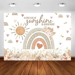 avezano boho rainbow baby shower backdrop pampas grass boho party photography background for girl’s rainbow sunshine baby shower decoration photoshoot (7x5ft)