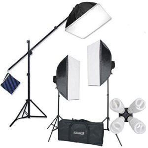 studiofx h9004sb2 2400 watt large photography softbox continuous photo lighting kit 16″ x 24″ + boom arm hairlight with sandbag h9004sb2 by kaezi