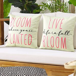 Ohok Spring Summer Outdoor Waterproof Pillow Covers 18x18 Set of 4 Farmhouse Decor Pillow Covers Flowers Live Bloom Outdoor Patio Throw Pillow Covers for Patio Funiture Garden Bed Couch Sofa