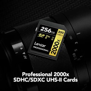 Lexar Professional 2000x 64GB SDXC UHS-II Memory Card, C10, U3, V90, Full-HD & 8K Video, Up To 300MB/s Read, for DSLR, Cinema-Quality Video Cameras (LSD2000064G-BNNNU)