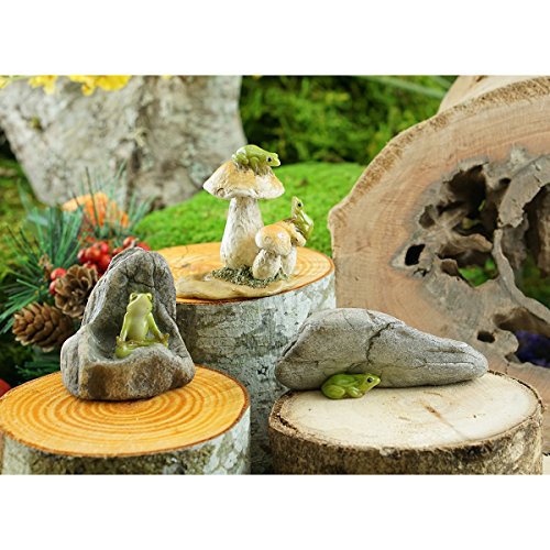 Top Collection Miniature Fairy Garden and Terrarium Mini Frogs on Mushrooms Statue