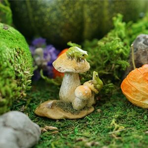 Top Collection Miniature Fairy Garden and Terrarium Mini Frogs on Mushrooms Statue