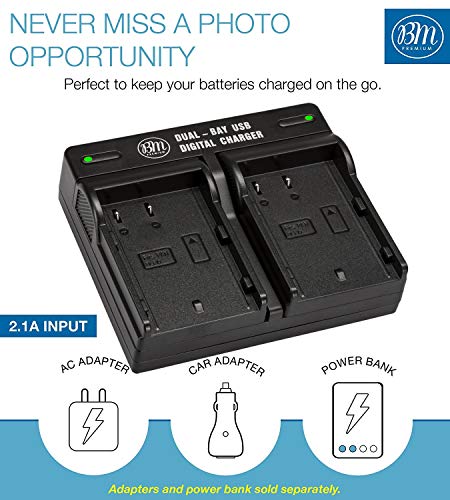 BM Premium 2-Pack of DMW-BLF19, DMW-BLF19e, DMW-BLF19PP Batteries and Dual Battery Charger for Panasonic Lumix DC-G9, DC-GH5, DMC-GH3, DMC-GH3K, DMC-GH4, DMC-GH4K Digital Camera