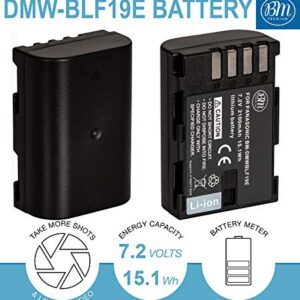 BM Premium 2-Pack of DMW-BLF19, DMW-BLF19e, DMW-BLF19PP Batteries and Dual Battery Charger for Panasonic Lumix DC-G9, DC-GH5, DMC-GH3, DMC-GH3K, DMC-GH4, DMC-GH4K Digital Camera