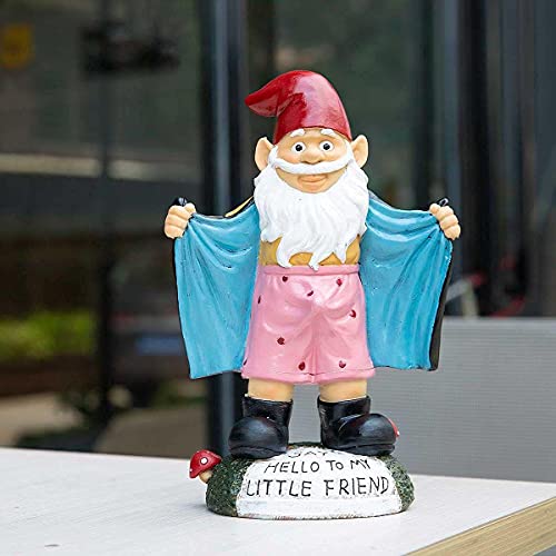 Jy.Cozy Funny Garden Gnome Statues - Resin Handmade Gnome Figurines, Indoor Outdoor Naughty Gnome Decorations for Home Patio Yard Lawn Porch, Ornament Gift