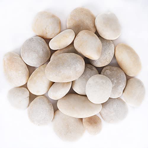 Ausluru 11LB Smooth Pebbles River Rocks, 100% Natural Hand-Picked Premium Decorative Pebbles, Ideal for Garden Landscaping, Home Decor, Aquariums, Painting, Crafting and Gifts, Cream White