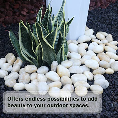 Ausluru 11LB Smooth Pebbles River Rocks, 100% Natural Hand-Picked Premium Decorative Pebbles, Ideal for Garden Landscaping, Home Decor, Aquariums, Painting, Crafting and Gifts, Cream White