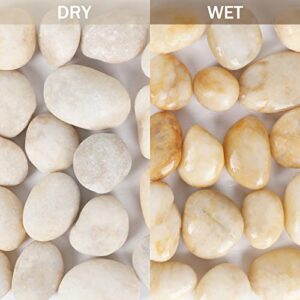 Ausluru 11LB Smooth Pebbles River Rocks, 100% Natural Hand-Picked Premium Decorative Pebbles, Ideal for Garden Landscaping, Home Decor, Aquariums, Painting, Crafting and Gifts, Cream White