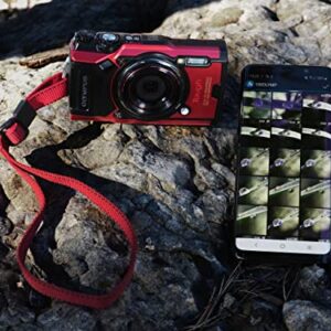 OM System Olympus TG-6 Red Underwater camera, Waterproof, Freeze proof, High Resolution Bright, 4K Video 44x Macro shooting