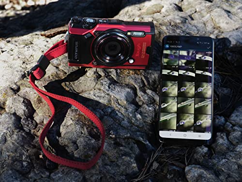 OM System Olympus TG-6 Red Underwater camera, Waterproof, Freeze proof, High Resolution Bright, 4K Video 44x Macro shooting