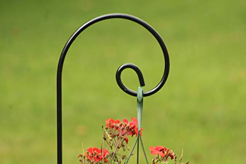 Ashman Shepherd Hook 65 Inch Curled (2 Pack), 1/2 Black Inch Diameter, Solid Metal for Hanging Plant Bird Feeders, Mason Jars, Flower Basket, Christmas Lights, Lanterns, Garden Stakes, and Weddings