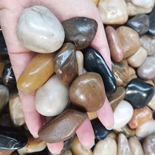 River Stones, Plants, Gardens, Landscapes, Succulents, Highly Polished Decorative Pebbles in Shapes and Sizes from 1-3 inches. (18LB, 1)