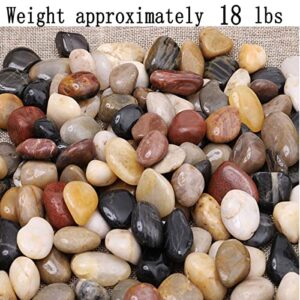 River Stones, Plants, Gardens, Landscapes, Succulents, Highly Polished Decorative Pebbles in Shapes and Sizes from 1-3 inches. (18LB, 1)