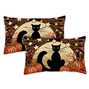 toland home garden moonlight cat 12 x 19 inch indoor, pillow case (2-pack)