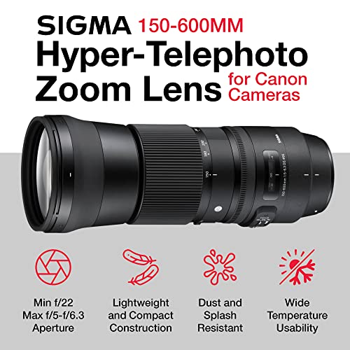 Sigma 150-600mm Canon Zoom Telephoto Lens F/5-6.3 DG OS HSM Bundle with Sigma Lens for Canon, Front and Rear Caps, Lens Hood, Lens Case, 2X 128GB SanDisk Memory Cards (7 Items) - Sigma 150 600 Lens