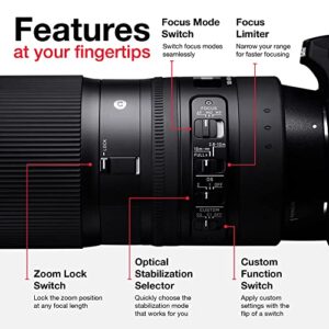 Sigma 150-600mm Canon Zoom Telephoto Lens F/5-6.3 DG OS HSM Bundle with Sigma Lens for Canon, Front and Rear Caps, Lens Hood, Lens Case, 2X 128GB SanDisk Memory Cards (7 Items) - Sigma 150 600 Lens