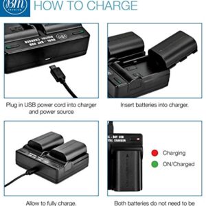 BM 2-Pack of LP-E6N Batteries and Dual Battery Charger for Canon EOS R, EOS R5, EOS 90D, EOS 60D, EOS 70D, EOS 80D, EOS 5D II, 5D III, 5D IV, EOS 6D, EOS 6D II, EOS 7D, EOS 7D II, XC10, XC15 Cameras