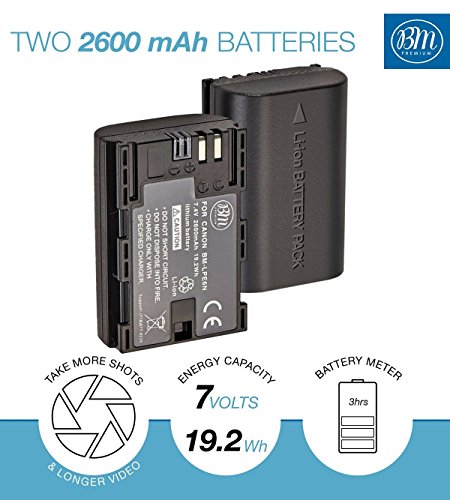 BM 2-Pack of LP-E6N Batteries and Dual Battery Charger for Canon EOS R, EOS R5, EOS 90D, EOS 60D, EOS 70D, EOS 80D, EOS 5D II, 5D III, 5D IV, EOS 6D, EOS 6D II, EOS 7D, EOS 7D II, XC10, XC15 Cameras